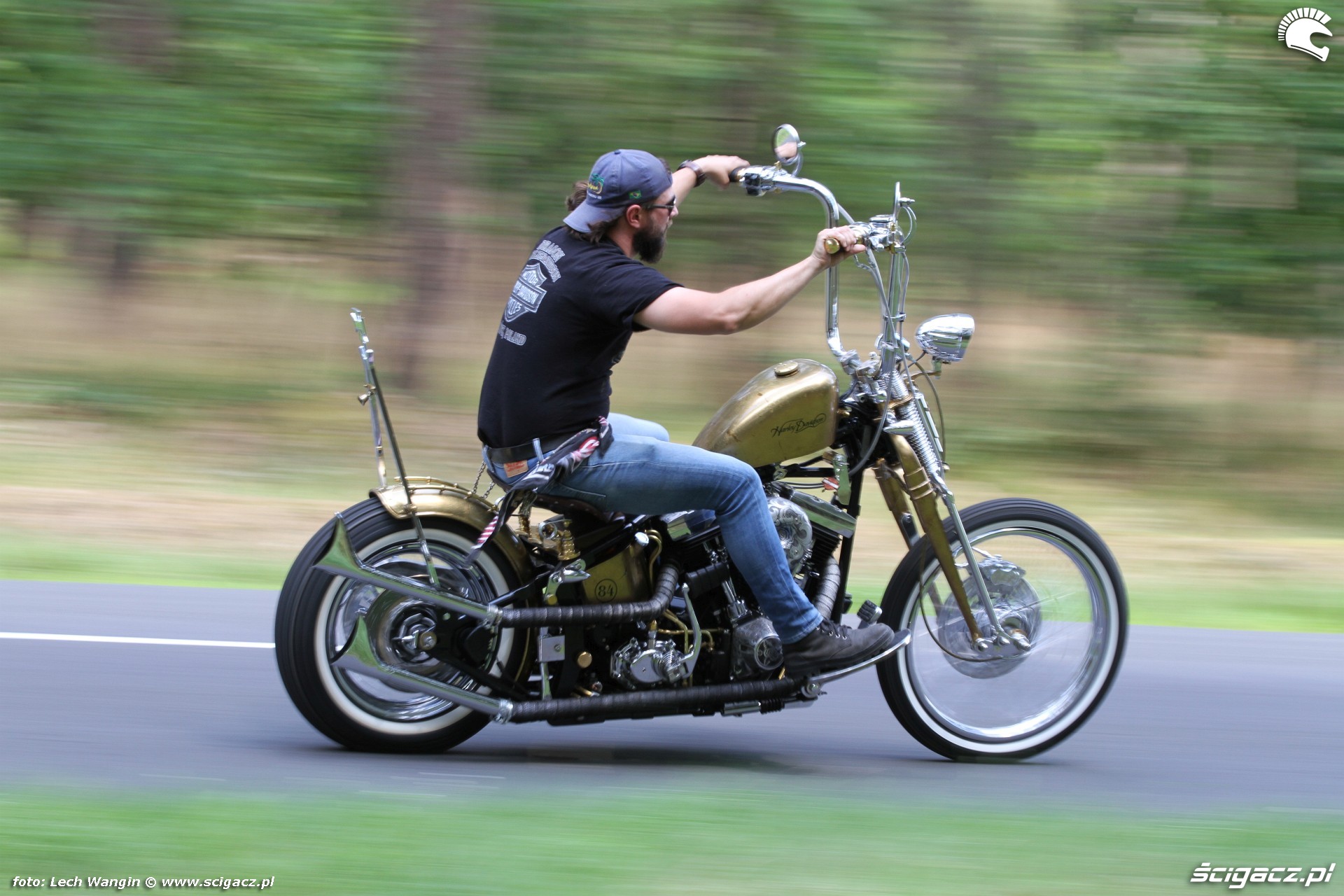 Zdjęcia: 03 Harley Davidson FXST Softail Standard custom ulica - Harley ...