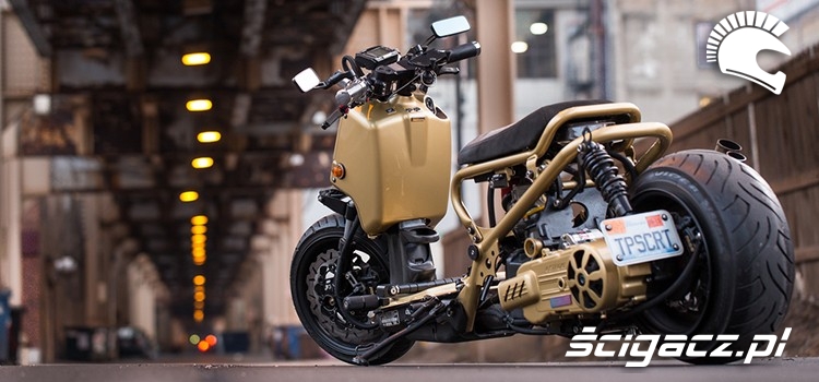 Zdjęcia: Honda Zoomer Custom 1 - Honda Zoomer Custom daleko od serii