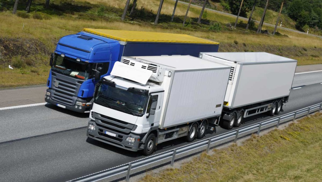 Zdjęcia: wyscigi s oni - Koniec z wyscigami sloni Zarzadca autostrady ... Zdjęcia: wyscigi s oni - Koniec z wyscigami sloni Zarzadca autostrady ...
